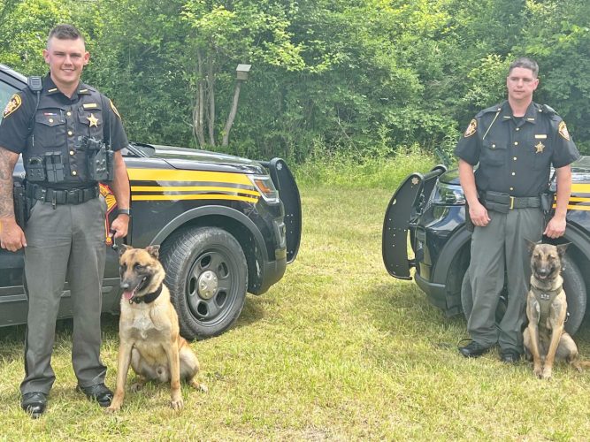 Sheriff’s office welcomes two more K-9s to the department | News ...